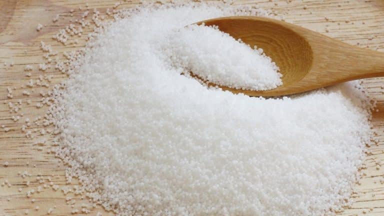 Is DATEM Vegan? Fully Explained!