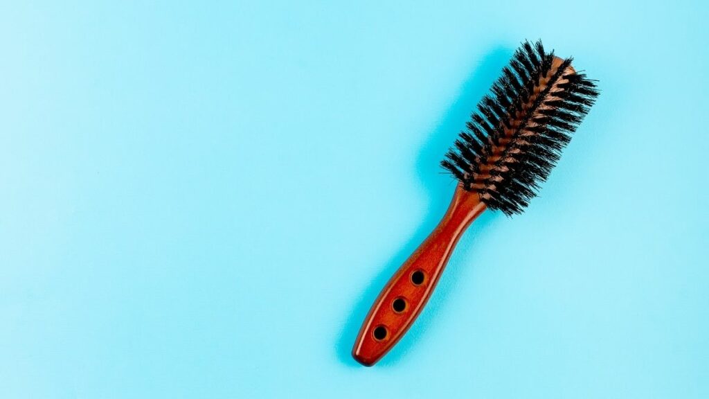 Are Boar Bristles Vegan Fully Explained Are Boar Bristles Vegan Fully Explained